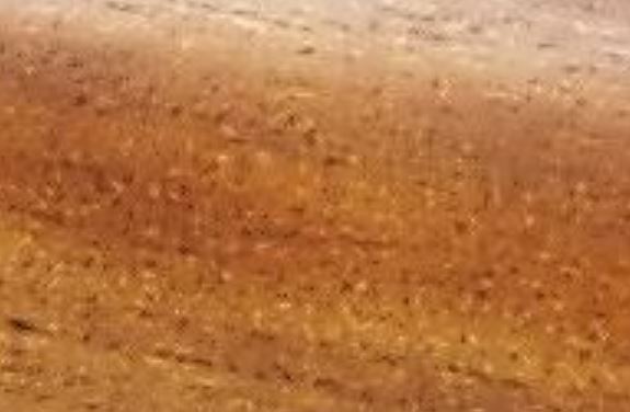 Cherry 1484024 Curio Table from Butler (1484024) | Coleman Furniture