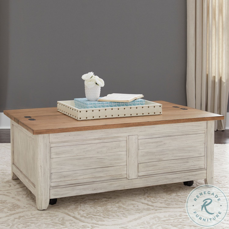 Farmhouse Reimagined Antique White Storage Trunk | HomeGalleryStores ...