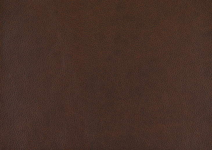 Soren Brown Chair From Homelegance | Coleman Furniture