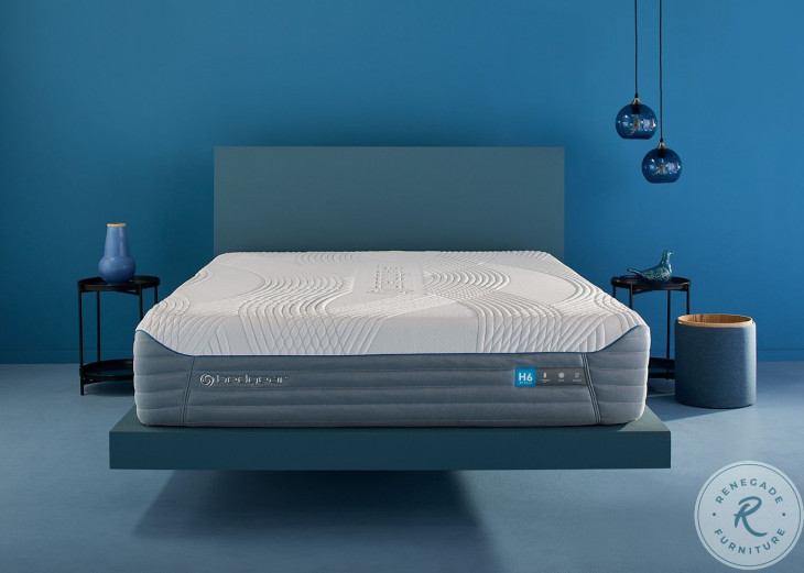 H6 Hybrid Performance Queen Size Mattress From Bedgear | Coleman Furniture