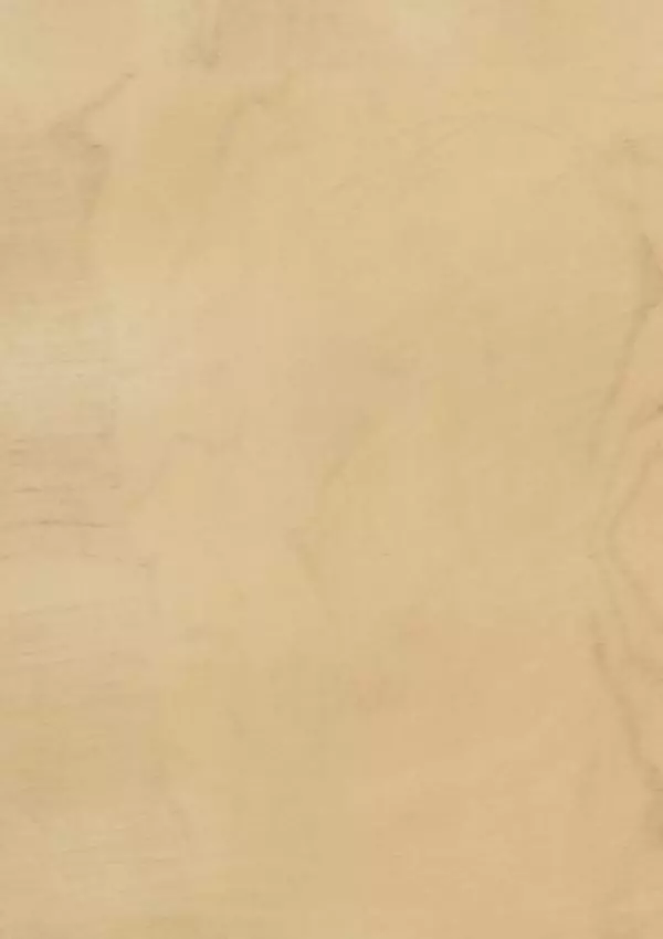 Merrion Antique Beige Console Table From Butler | Coleman Furniture