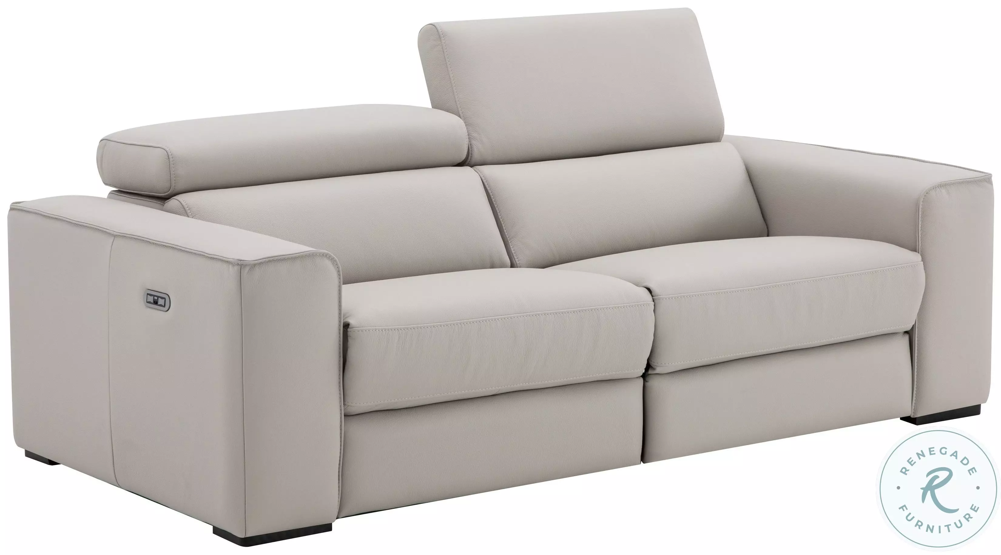 Picasso Silver Gray Leather Motion Loveseat From JNM | Coleman Furniture